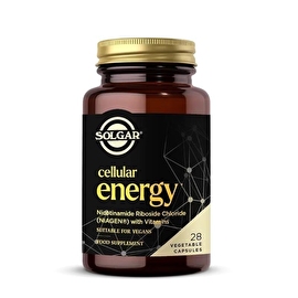Solgar Vitamin Ürünleri ve Fiyatları | Vitaminler