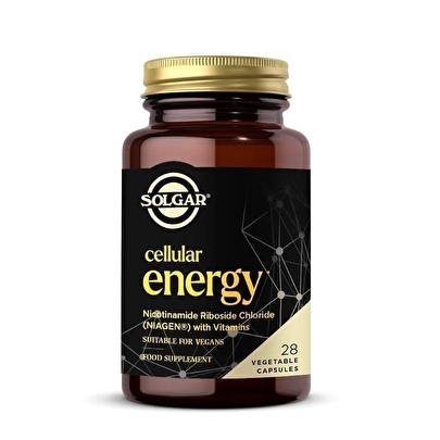 Solgar Vitamin Ürünleri ve Fiyatları | Vitaminler